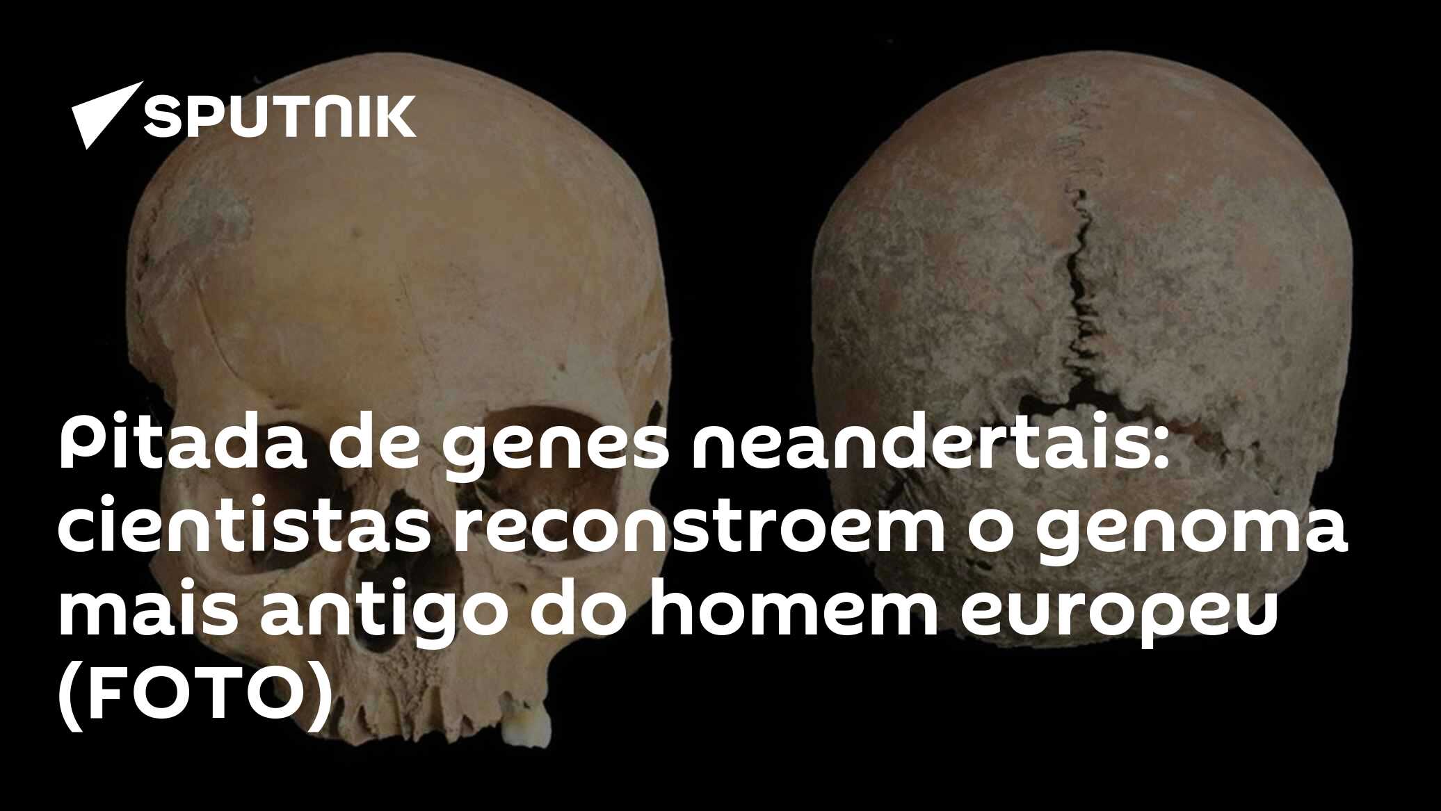 Pitada De Genes Neandertais Cientistas Reconstroem O Genoma Mais